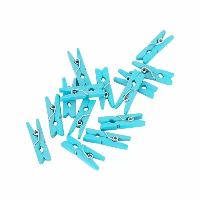 Mini Blue Wooden Pegs (Pack of 24) - Peci Australia Pty Ltd